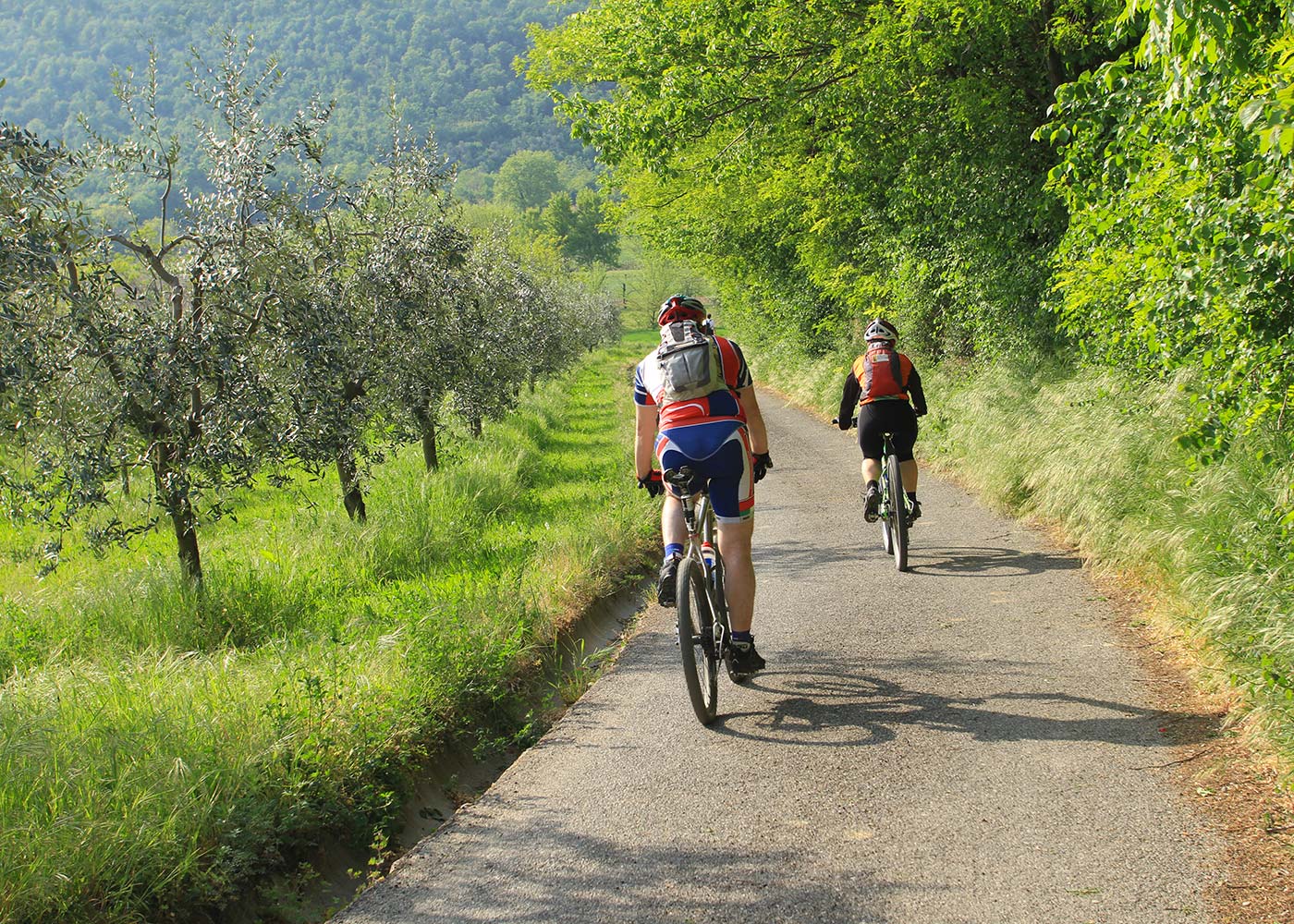 The Power of Cycling Tourism: Driving Sustainability and Balanced ...